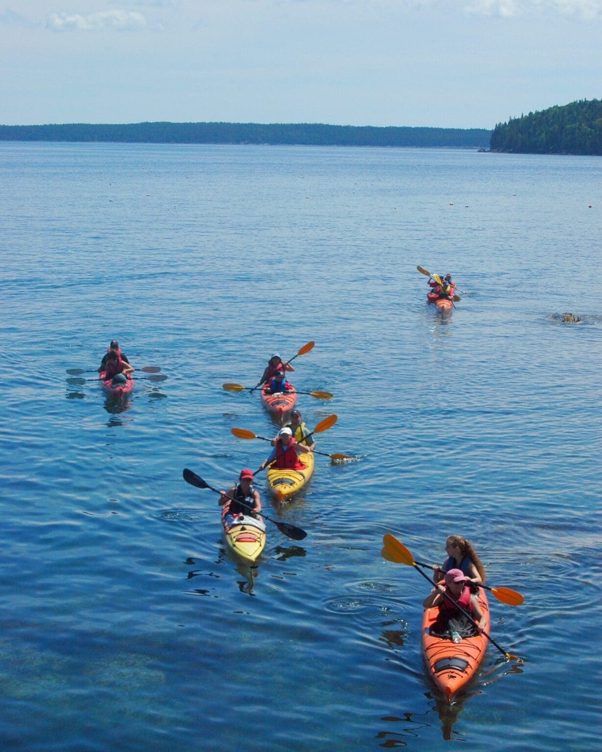 Why Rent From Us? | Acadia Bike & Coastal Kayaking Tours
