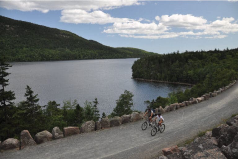 Bikes & E-Bikes | Acadia Bike & Coastal Kayaking Tours