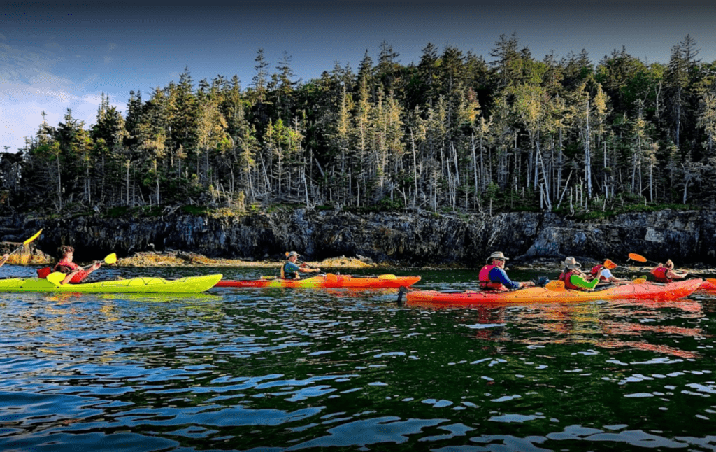 Kayak Tours | Acadia Fun!